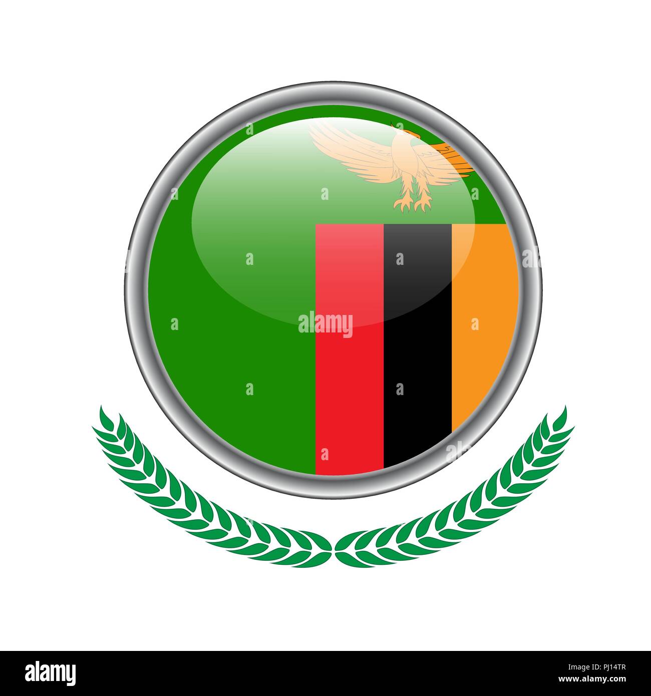 Zambia flag button. Zambia flag icon. Vector illustration of zambia ...