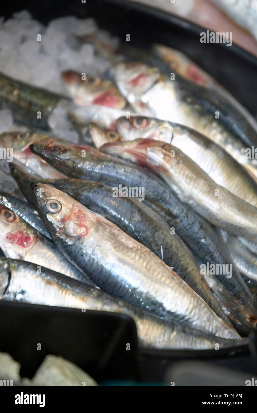 Waitrose fish products on display in store Stock Photo - Alamy