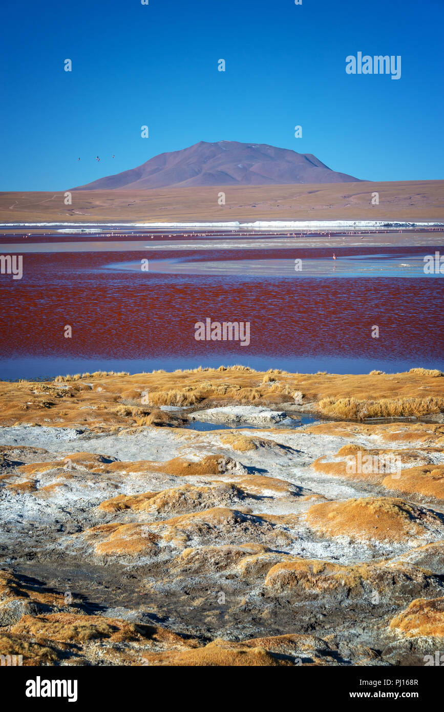 Sur lipez province hi-res stock photography and images - Alamy