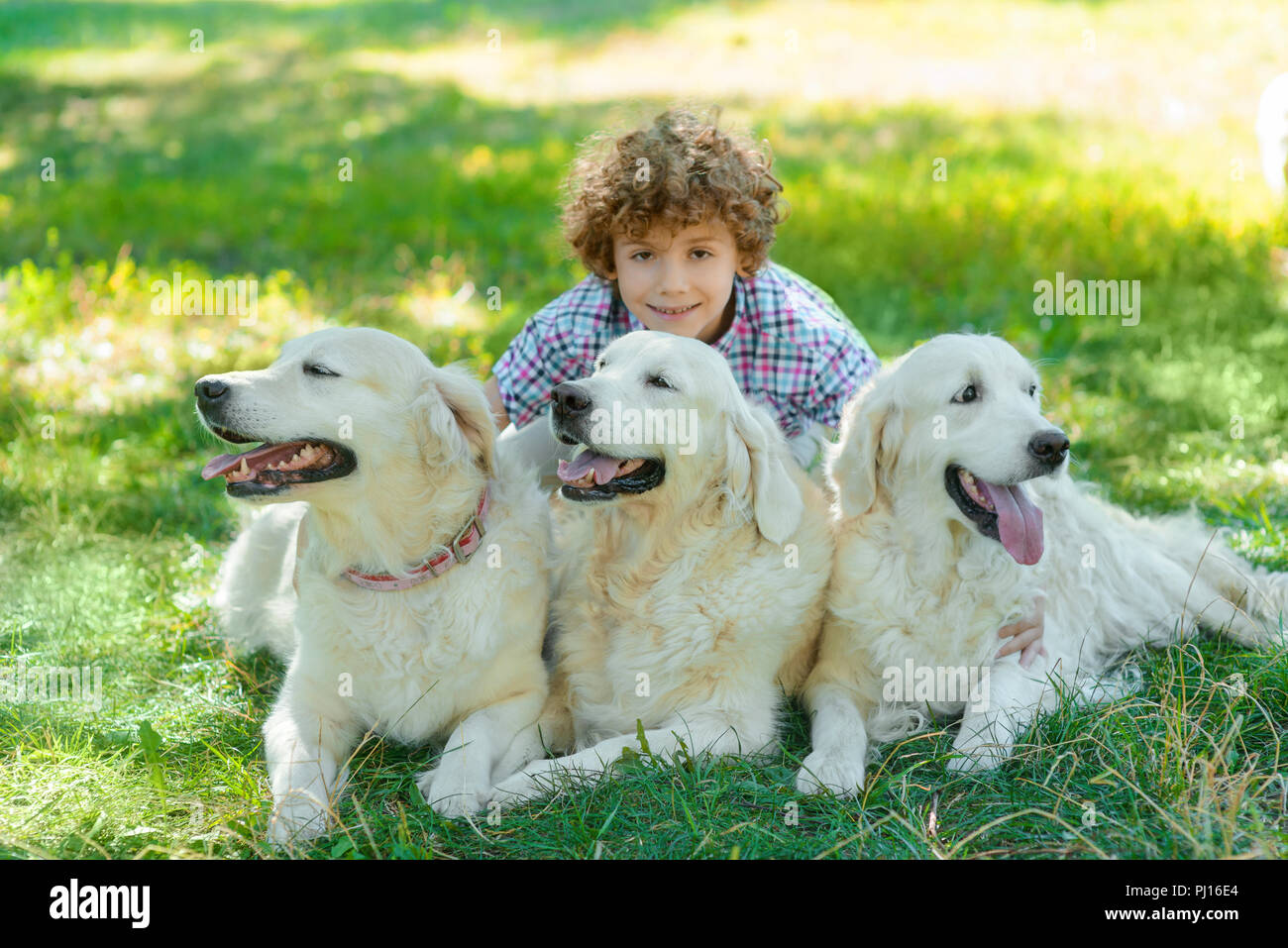 Great time with dear pets Stock Photo - Alamy