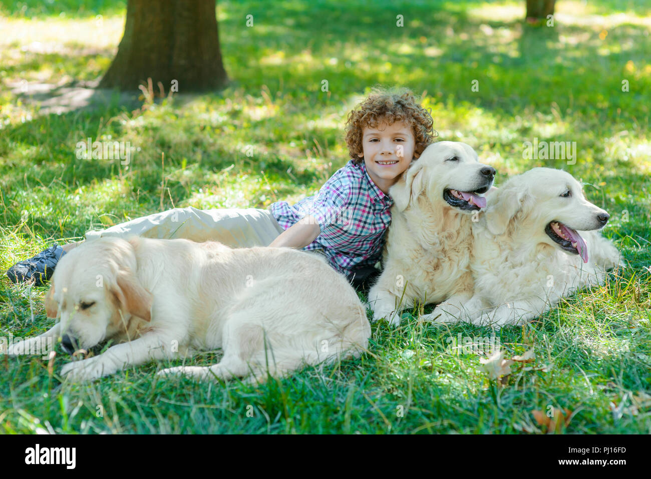 Amazing friends of one cute boy Stock Photo - Alamy