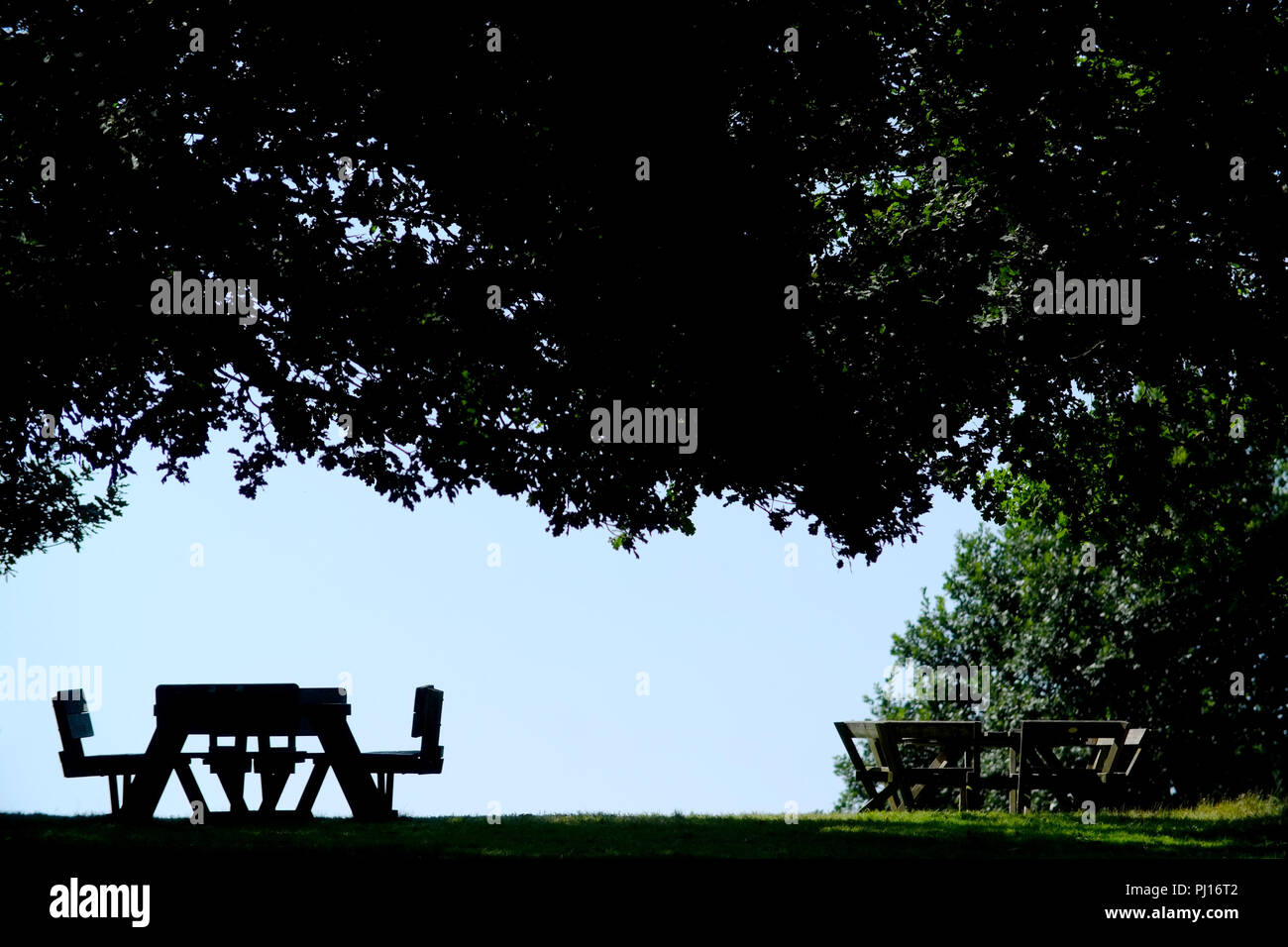 Picnic table under tree hi-res stock photography and images - Alamy