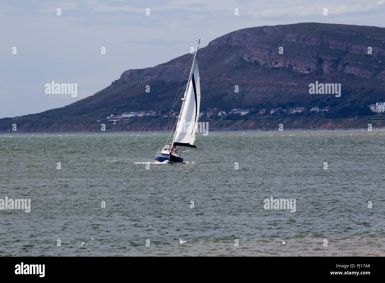 Yacht in full sail hi-res stock photography and images - Alamy
