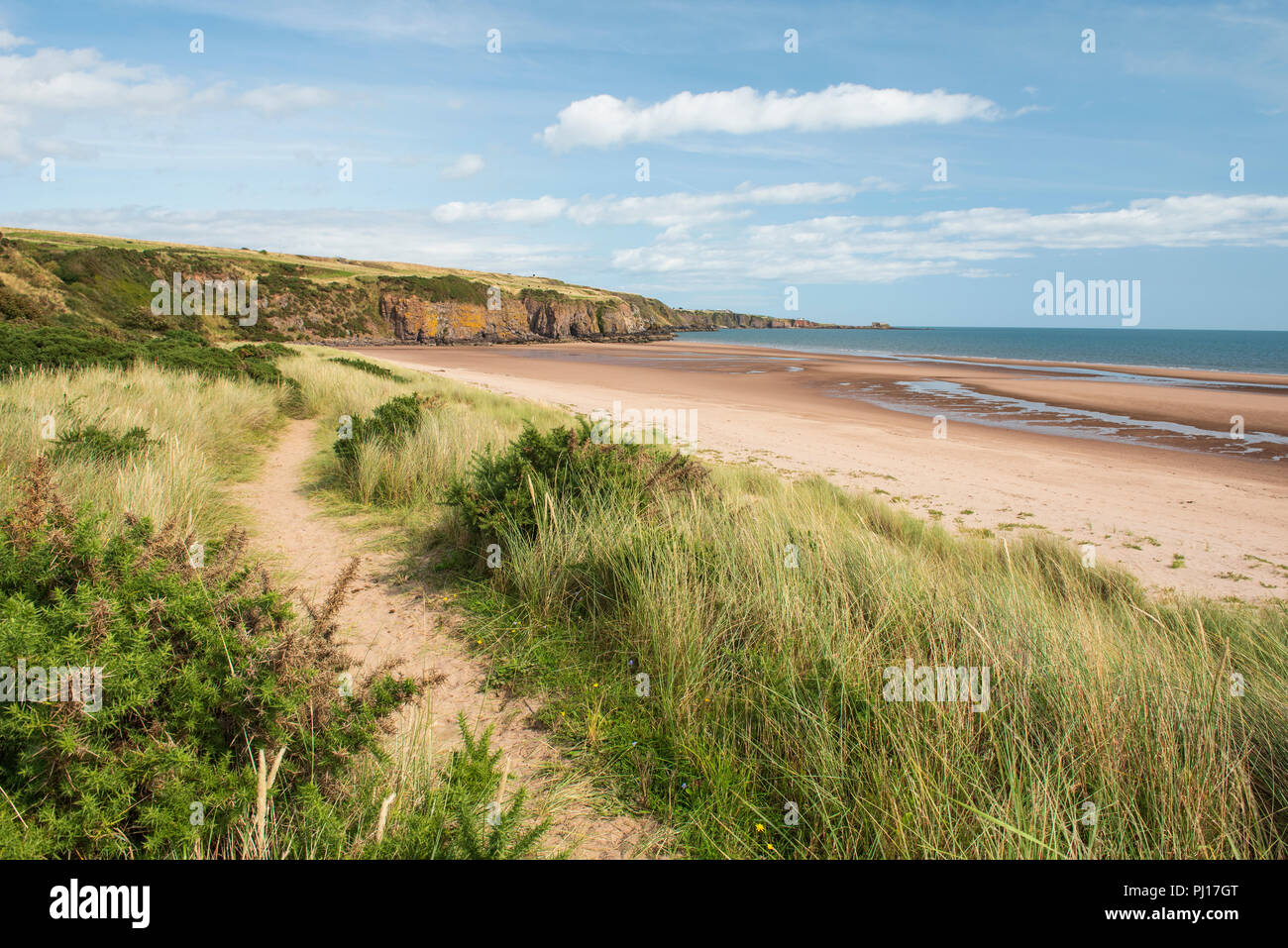 Lunan Bay beach and sand dunes, Angus, Scotland Stock Photo - Alamy