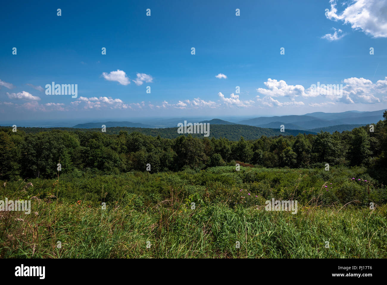 Wide angle shot overlooking the Shenendoah Valley from the skyline ...