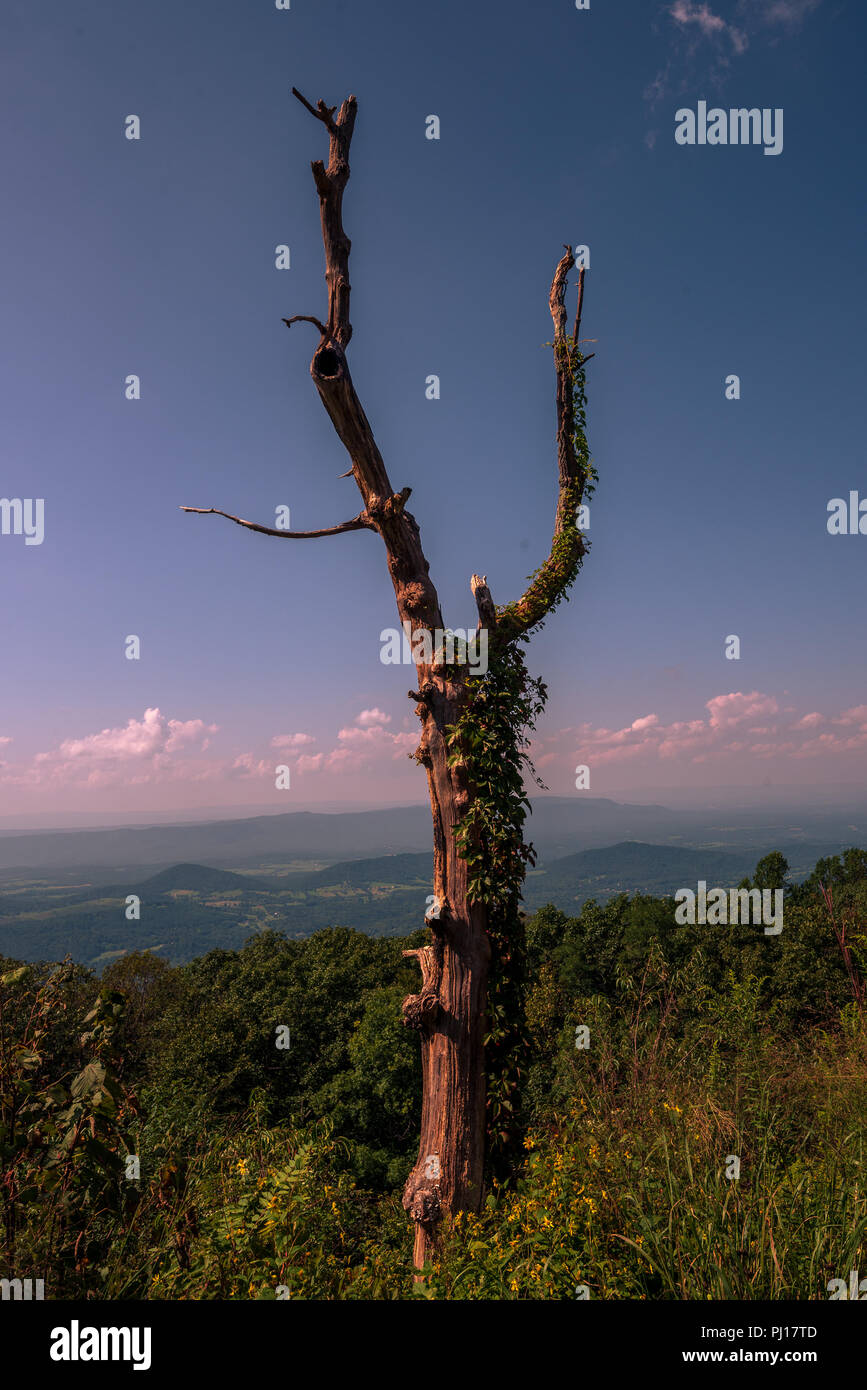 Overlooking valley of the dead hi-res stock photography and images - Alamy
