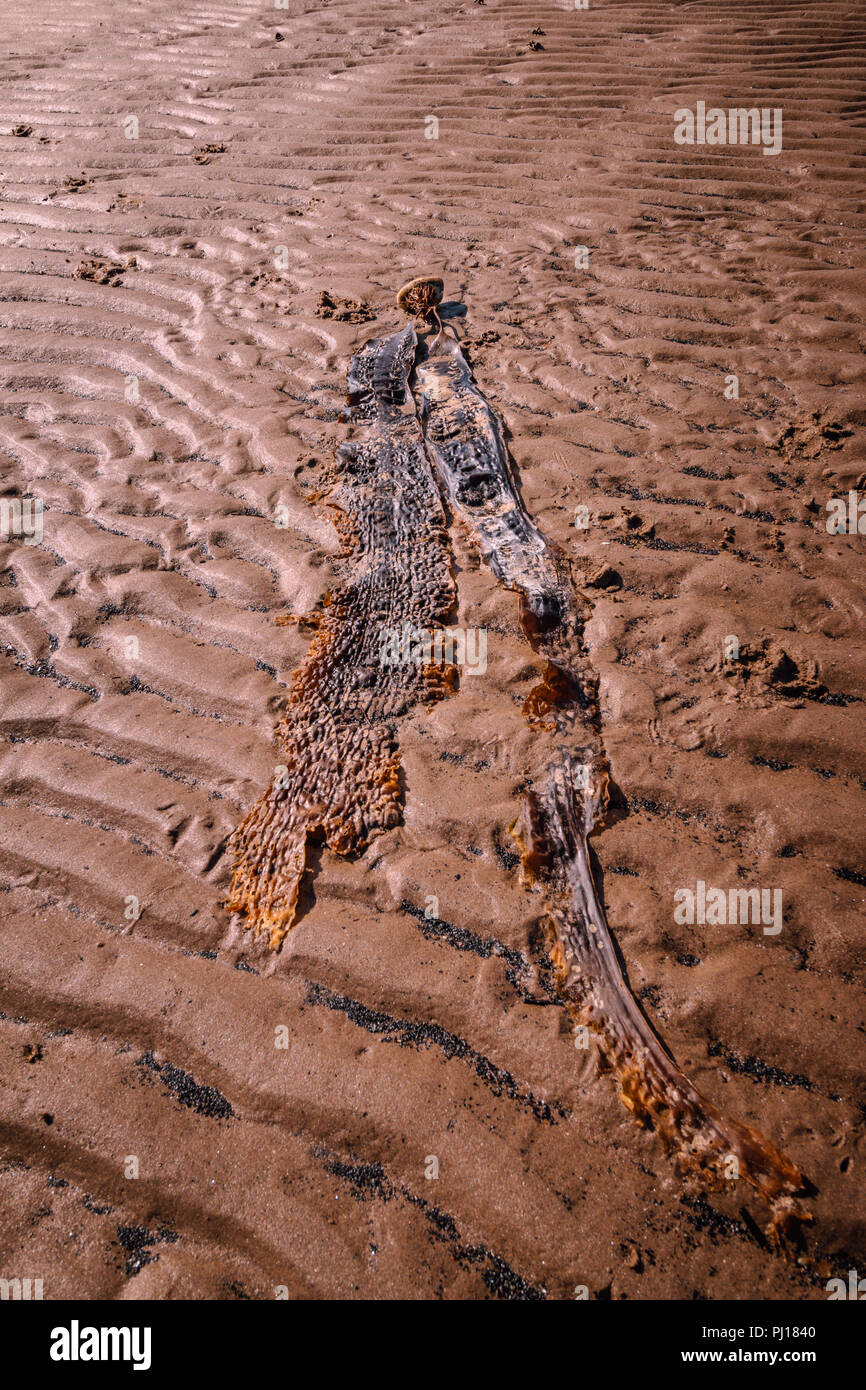 Stevenstone To Irvine Science Centre Stock Photo - Alamy