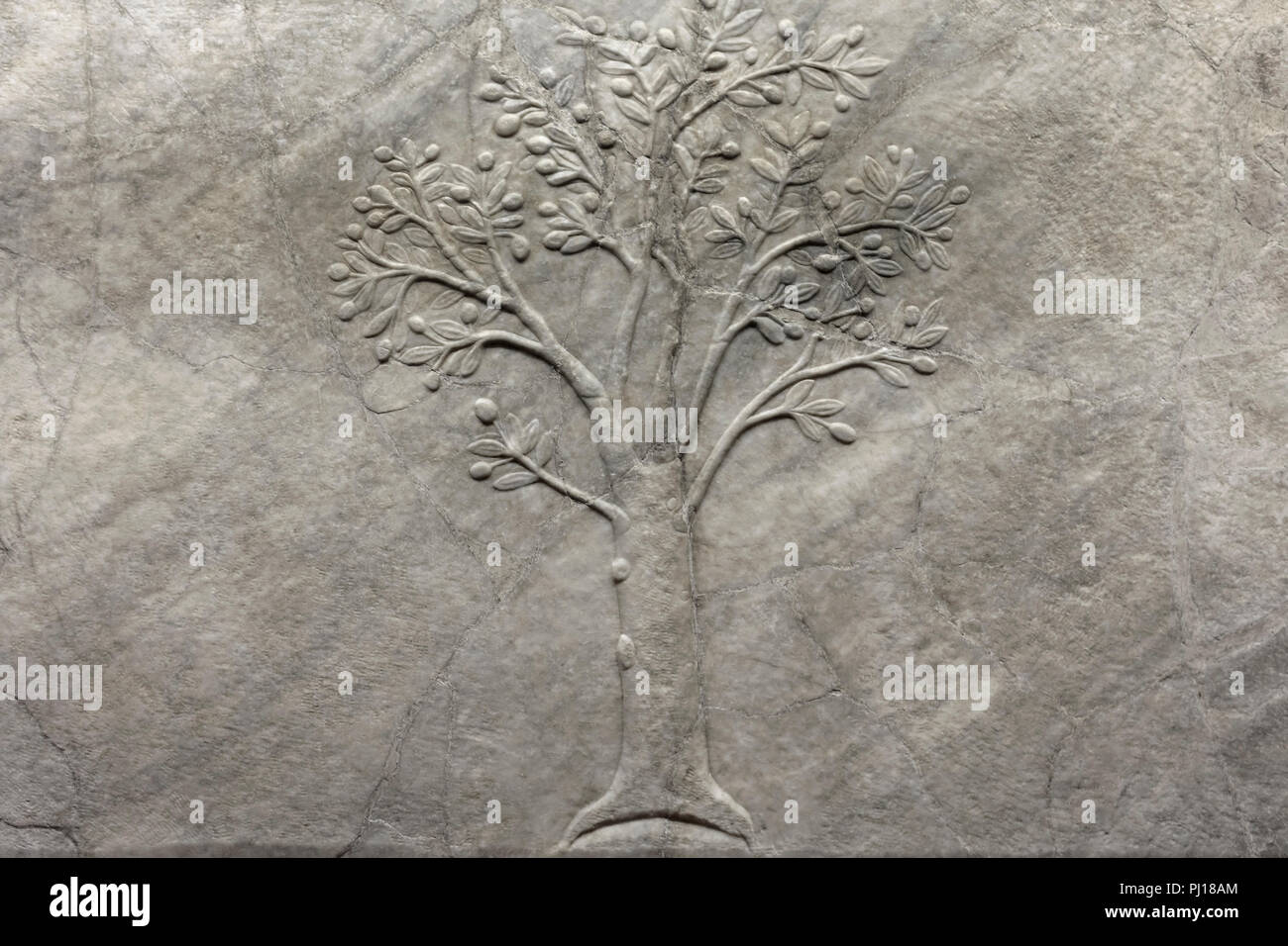 Olive tree carving hi-res stock photography and images - Alamy