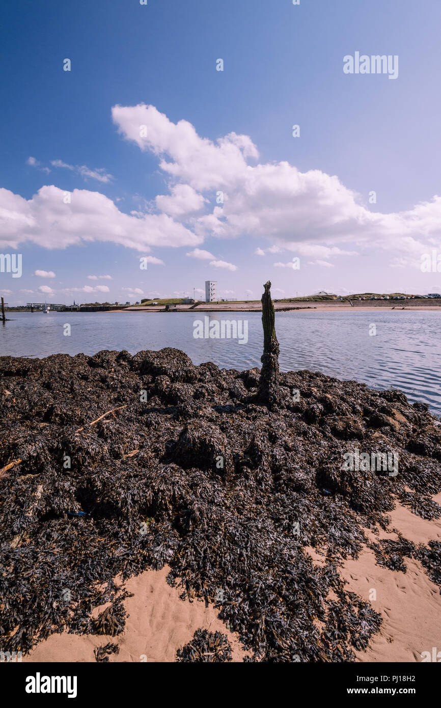 Robert burns irvine hi-res stock photography and images - Alamy