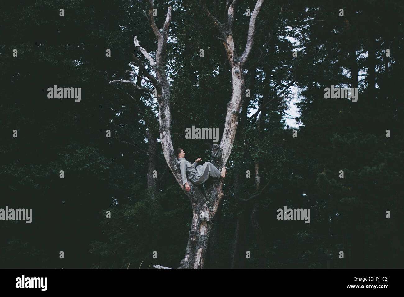 Man moving in nature forest Stock Photo - Alamy