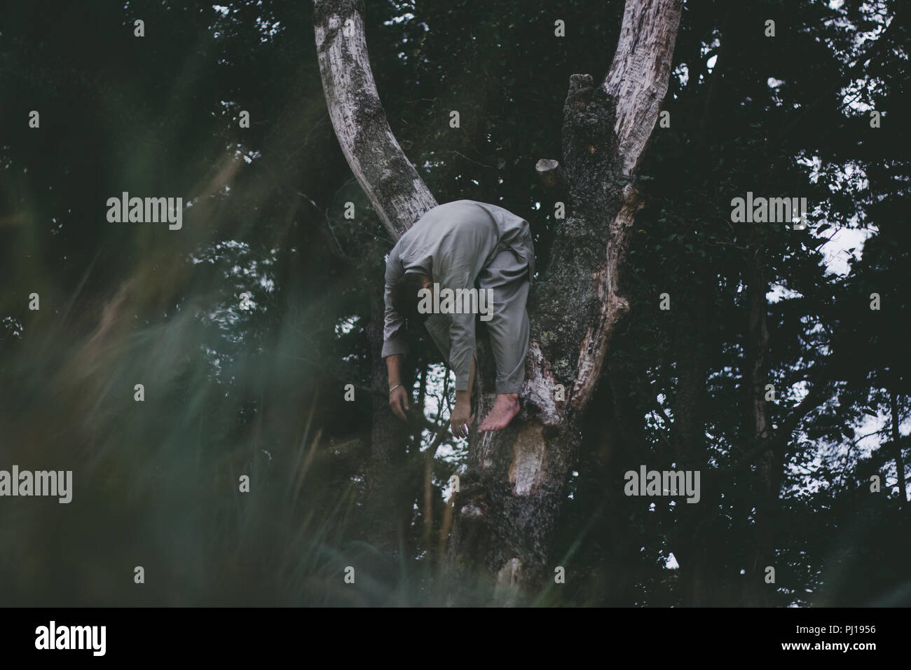 Man moving in nature forest Stock Photo - Alamy