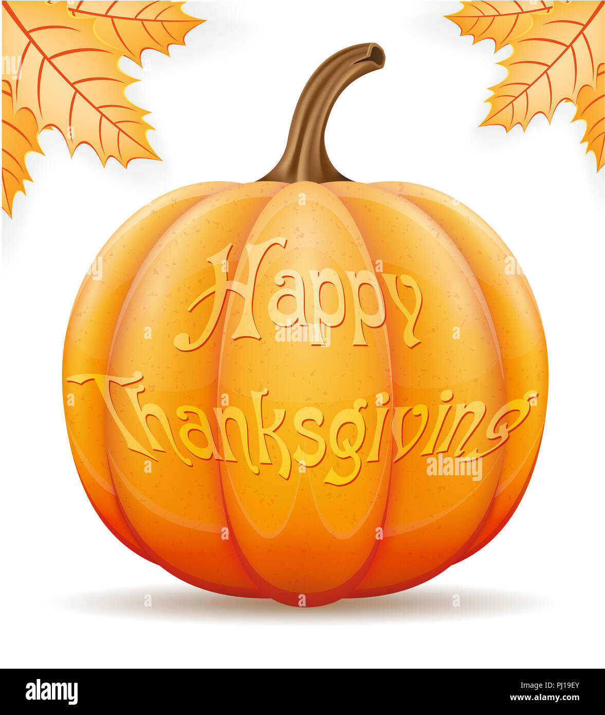 pumpkin thanksgiving vector illustration isolated on white background ...