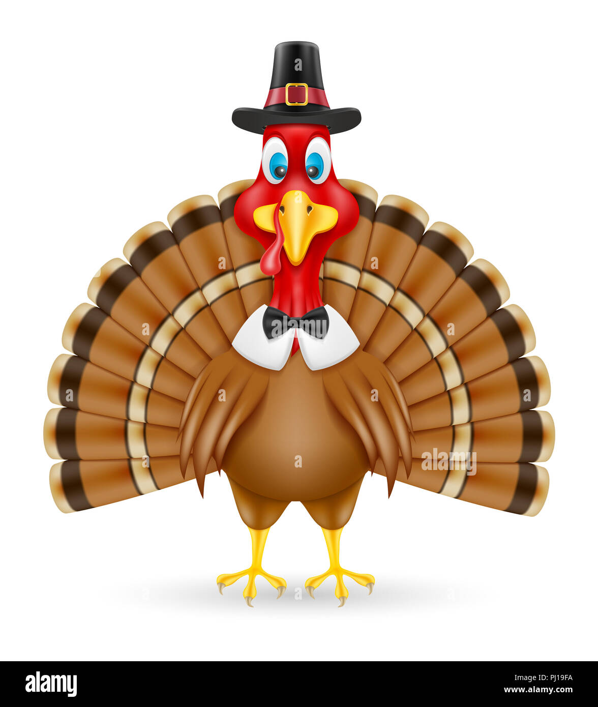 thanksgiving turkey bird vector illustration isolated on white ...