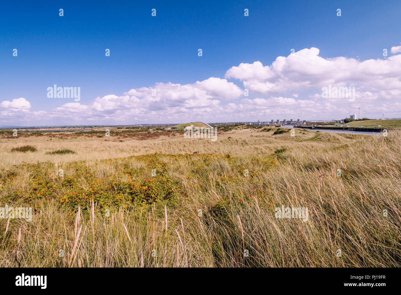 Robert burns ardeer beach hi-res stock photography and images - Alamy