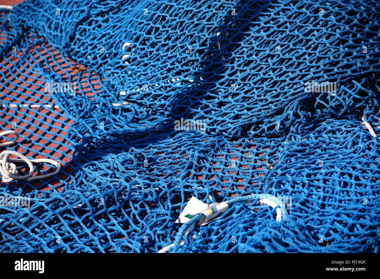 Discus throw close up hi-res stock photography and images - Alamy