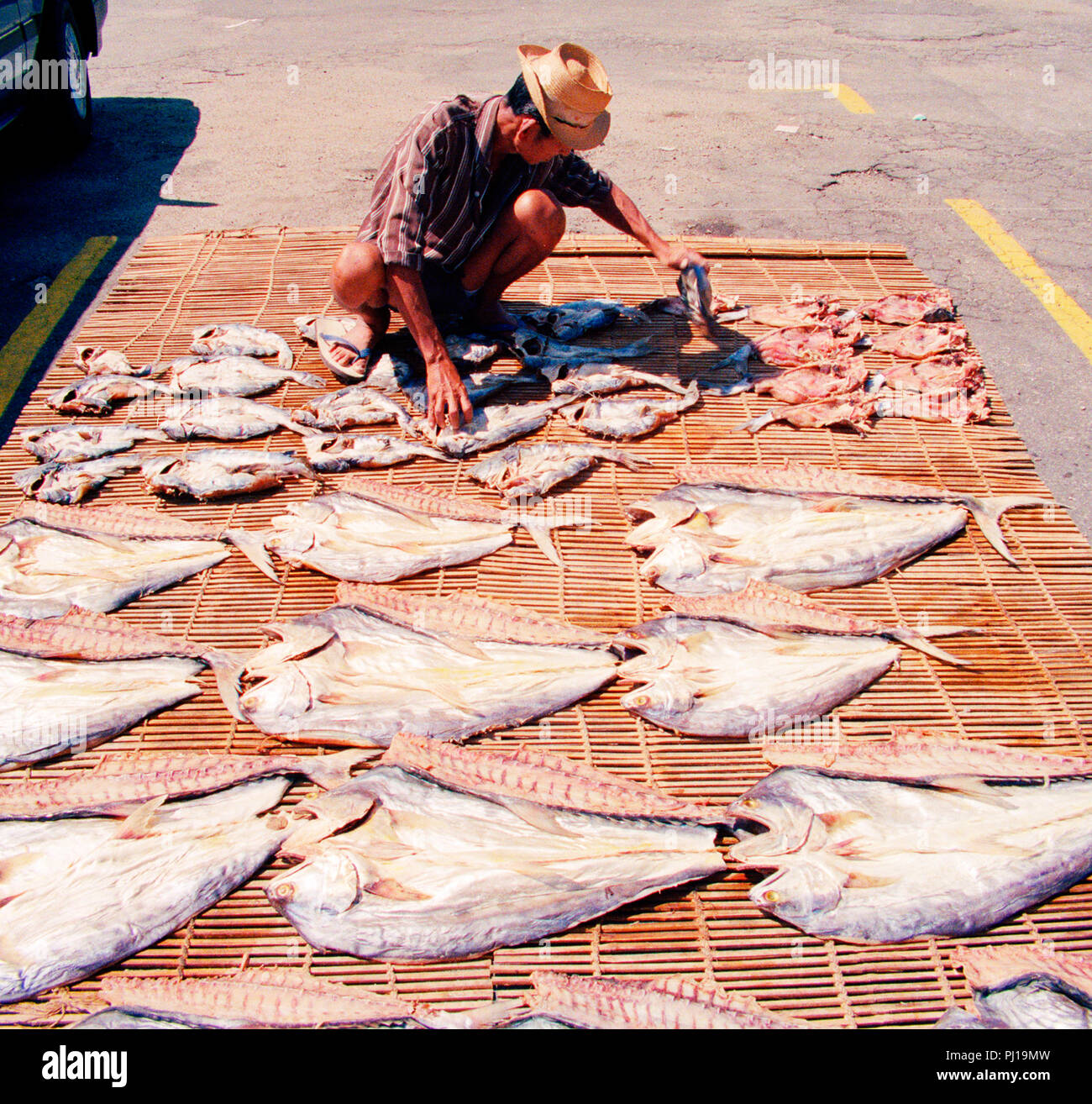 Asian man at work drying fish hi-res stock photography and images - Alamy