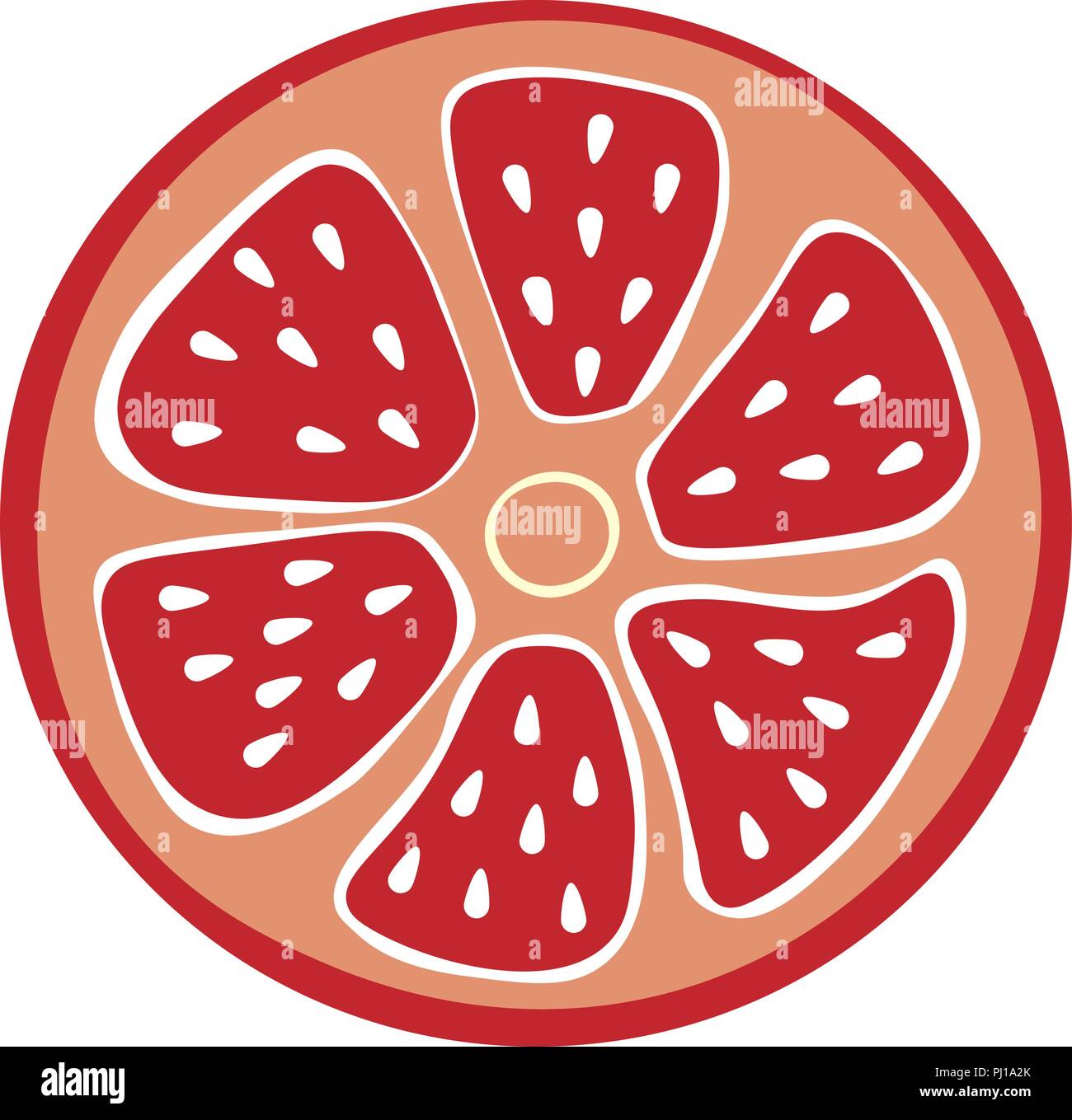 vector illustration in a cut, round slice of citrus grapefruit, pomelo ...