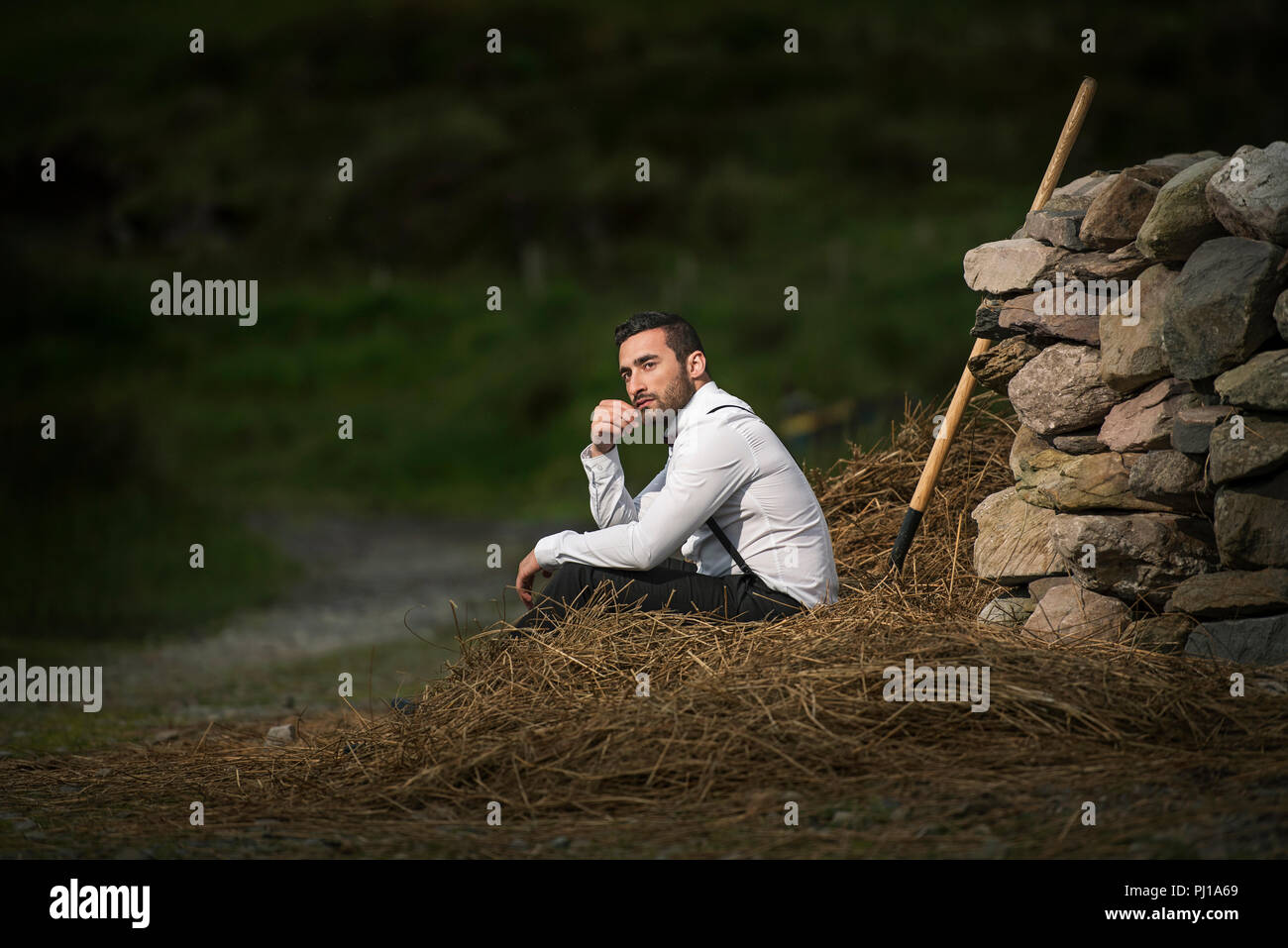 Pile of hay hi-res stock photography and images - Alamy