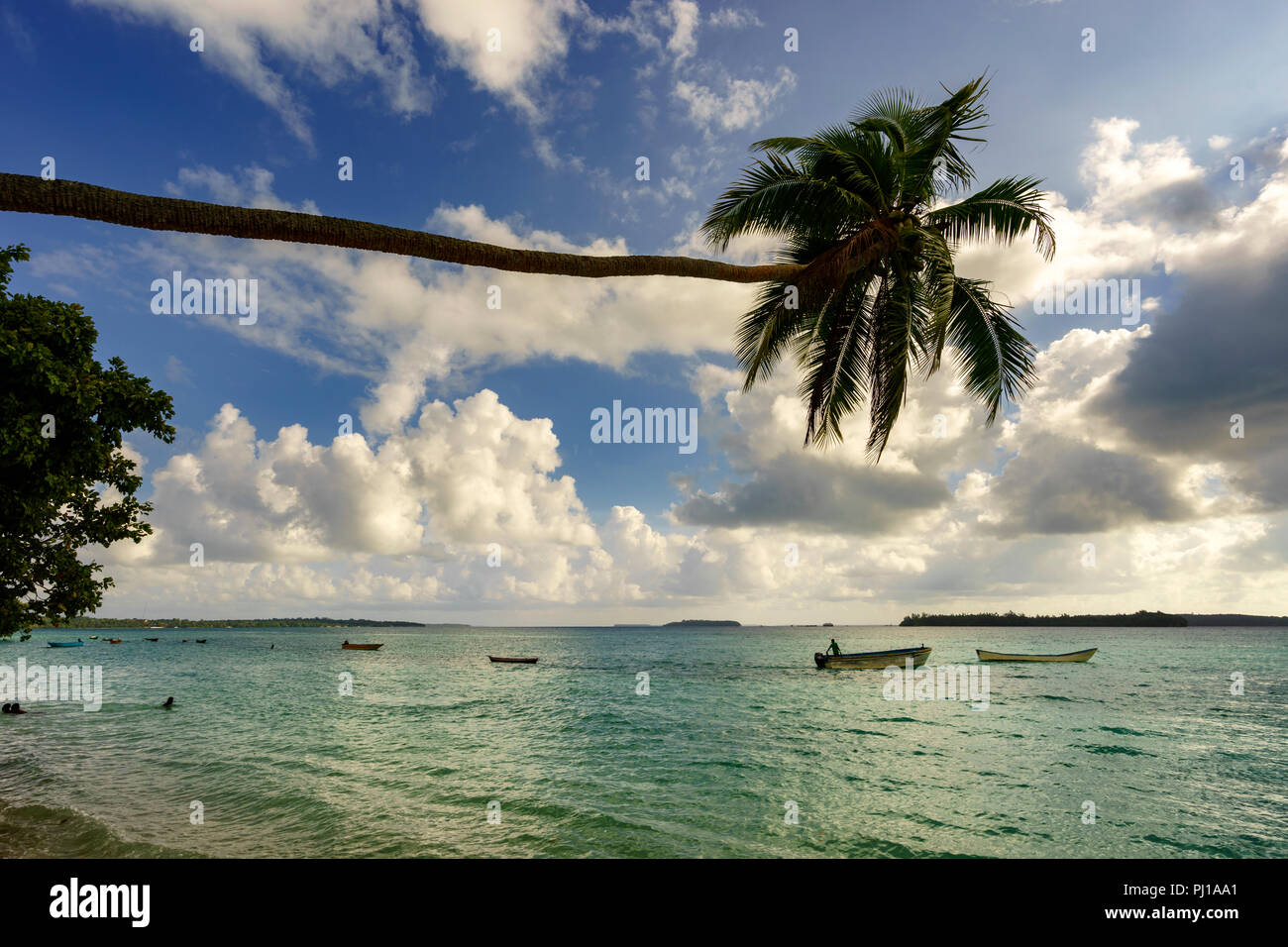 Fishing boats anchored at sea, Ngilngof beach, Kai Islands, Maluku ...
