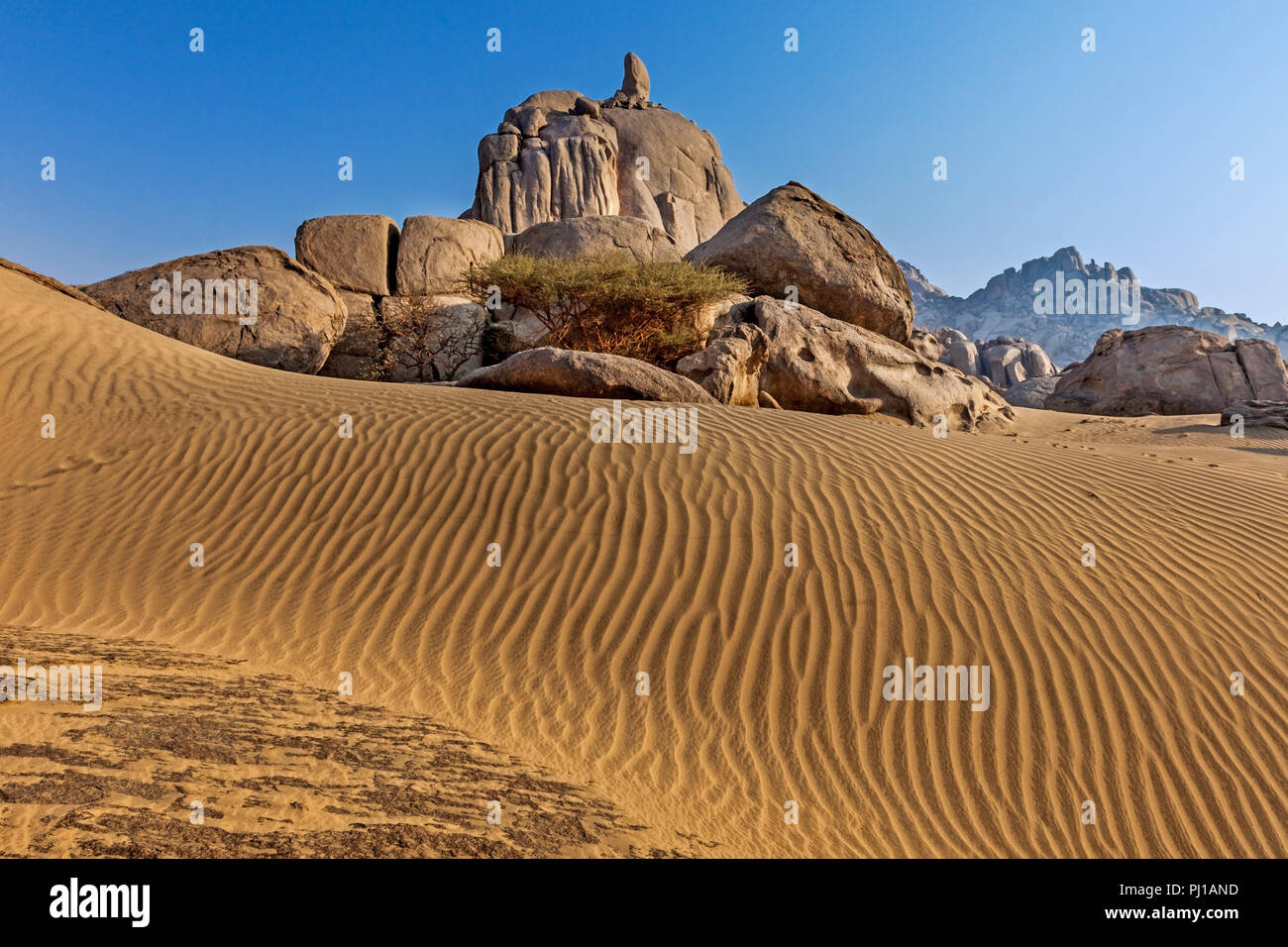 Desert landscape, Saudi Arabia Stock Photo - Alamy