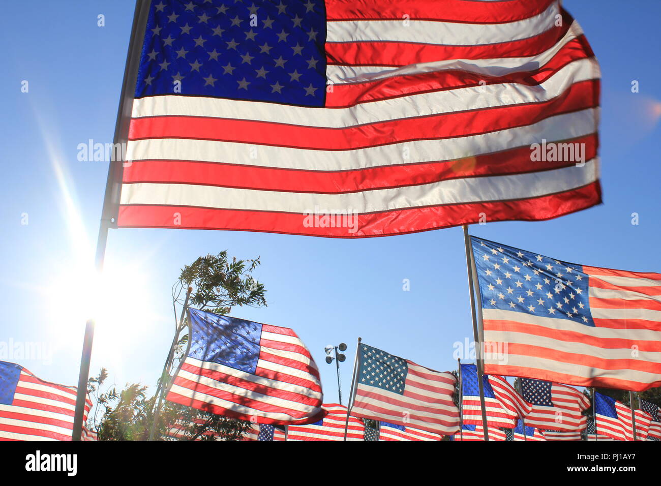 1000 flags hi-res stock photography and images - Alamy