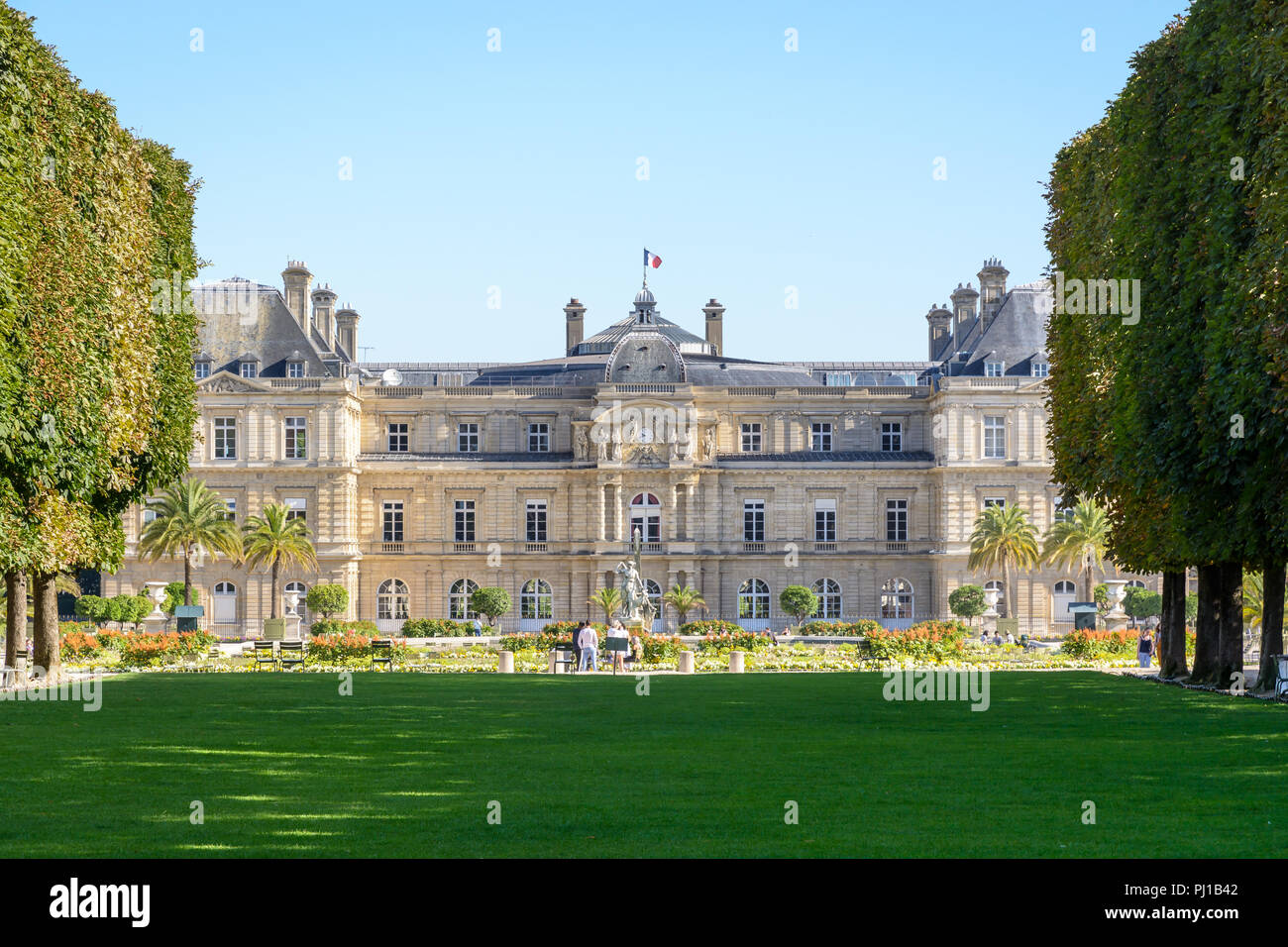 Chestnut tree in paris france hi-res stock photography and images - Alamy