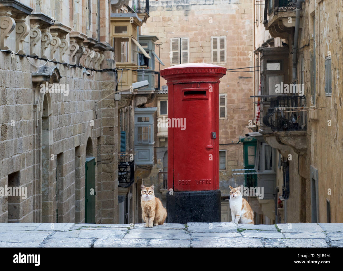 Two cats sitting in front of a letterbox, Valletta, Malta Stock Photo ...
