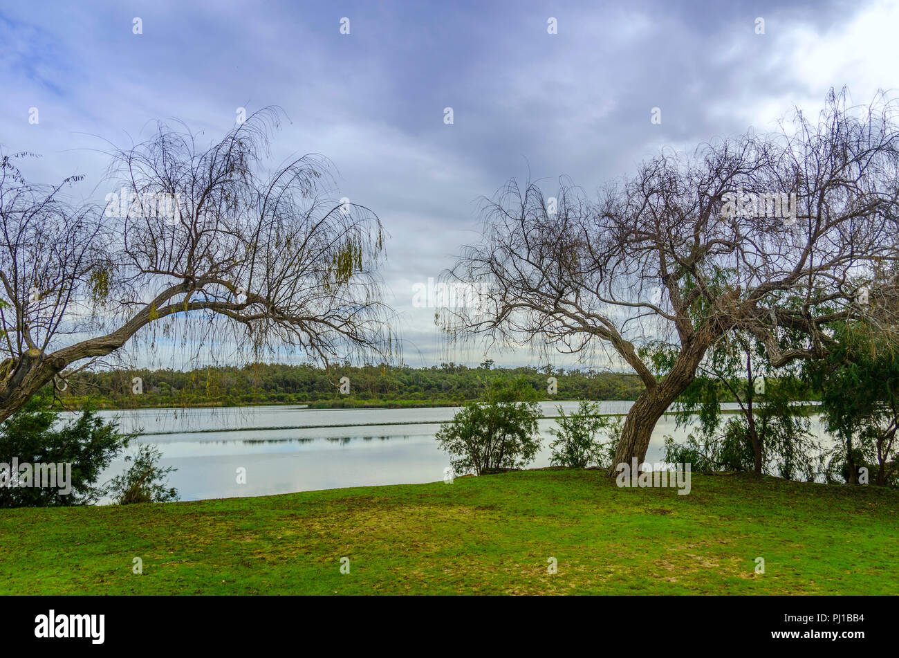 Yanchep western australia hi-res stock photography and images - Alamy