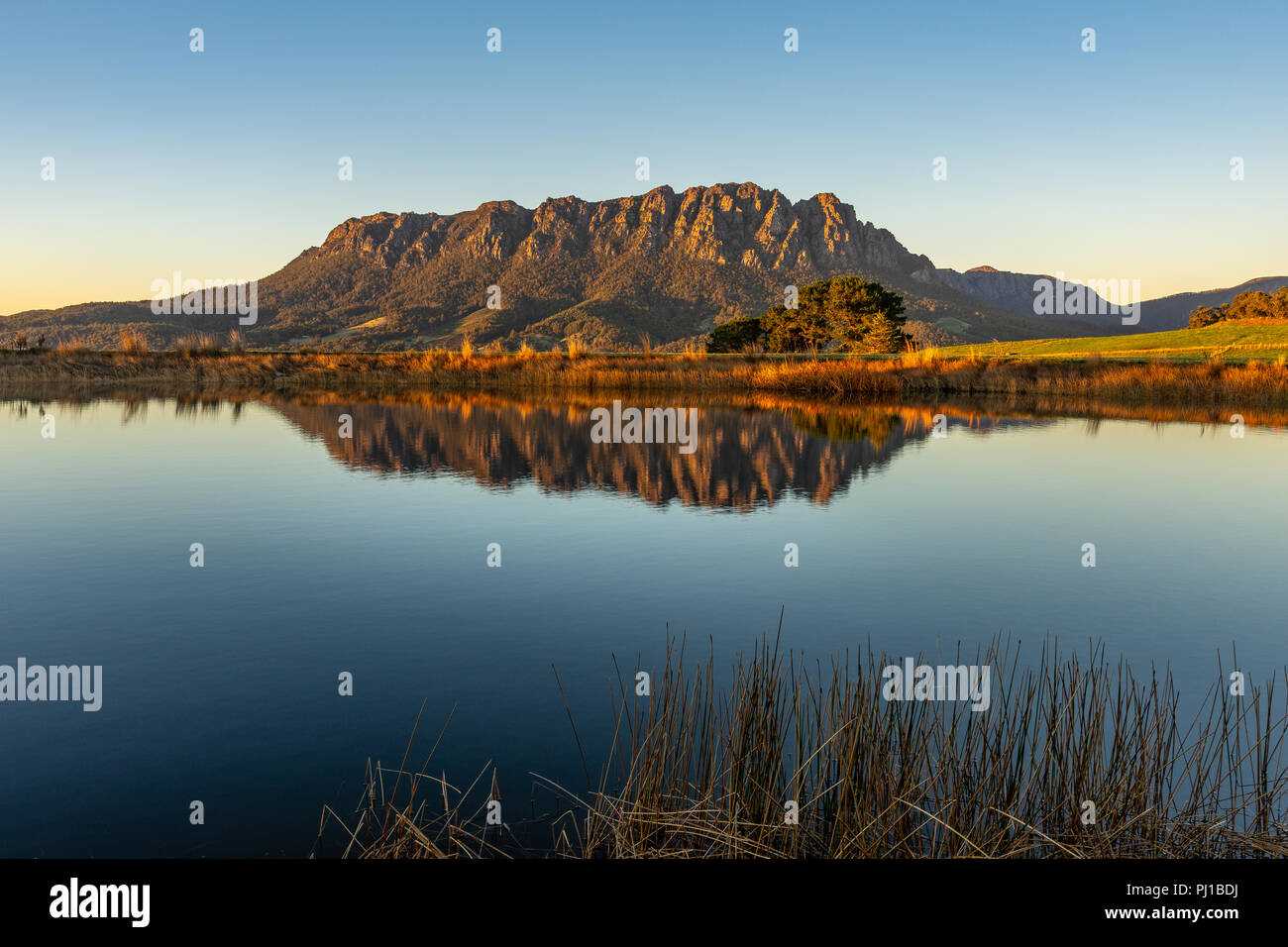 Mount Roland Conservation Area High Resolution Stock Photography and ...