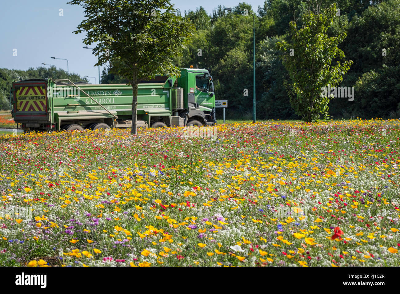 Wild flowers blooming on a roundabout Stock Photo - Alamy