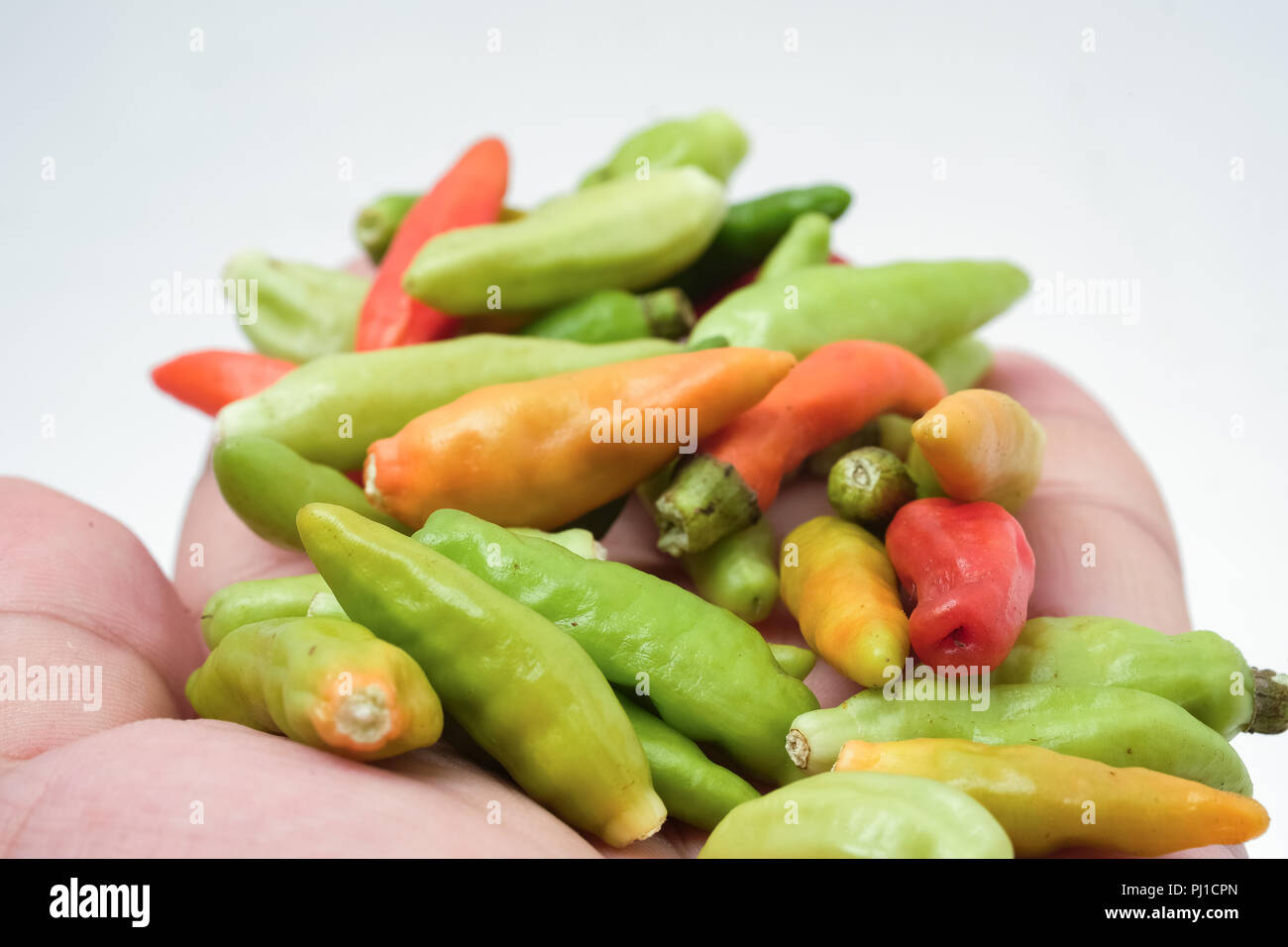 Chili peppers beautiful Stock Photo - Alamy