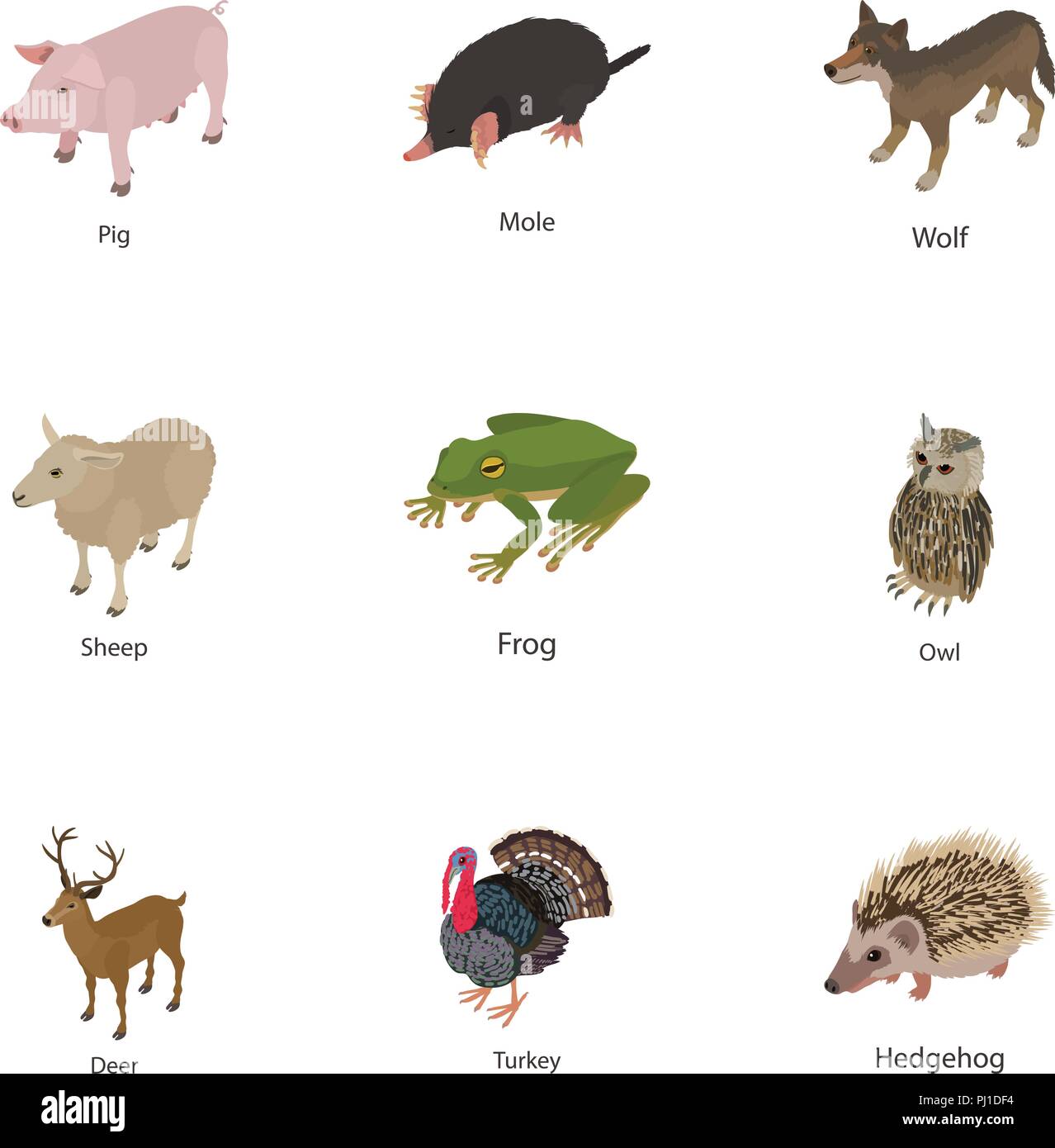 Poultry world illustration Stock Vector Images - Alamy