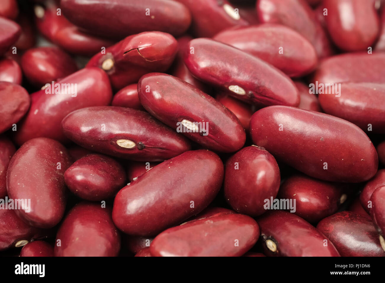 Red bean asia Stock Photo - Alamy