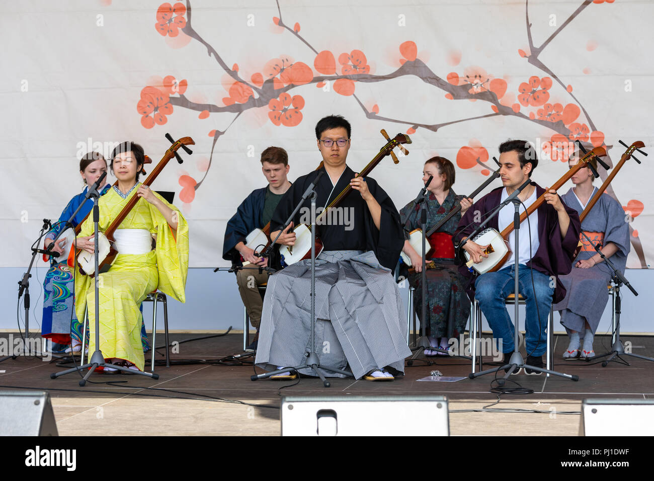 Sakura flowering day. Park "Gardens of the World" (Gaerten der Welt ...