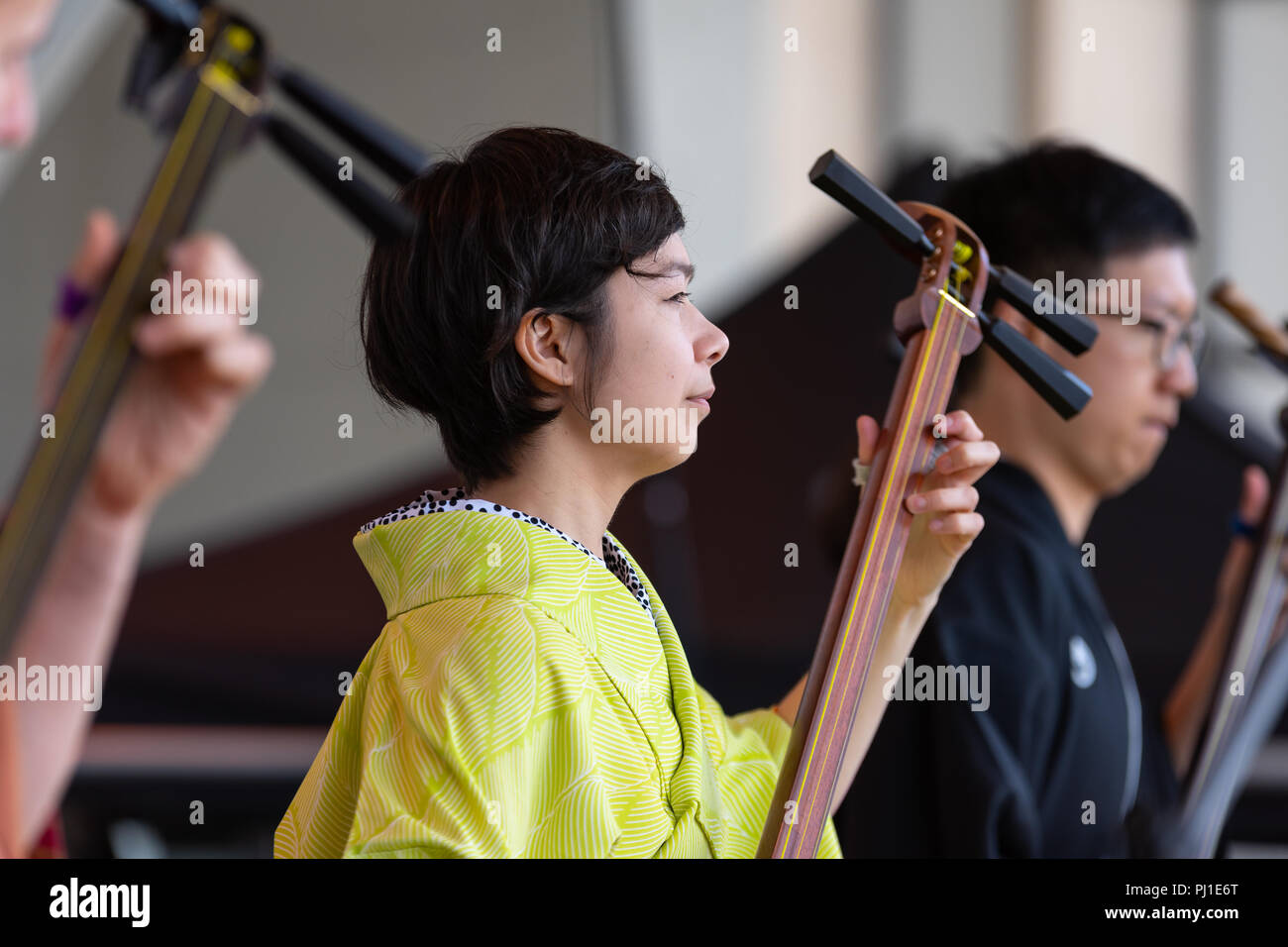 Sakura flowering day. Park "Gardens of the World" (Gaerten der Welt). Playing on the traditional ...