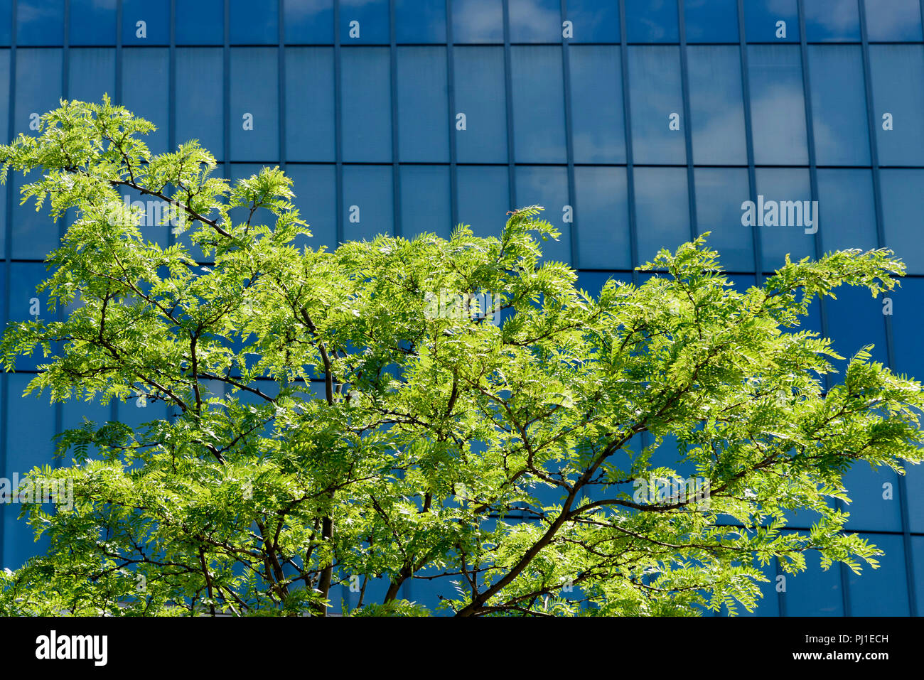 Nature Vs Man Made Structures