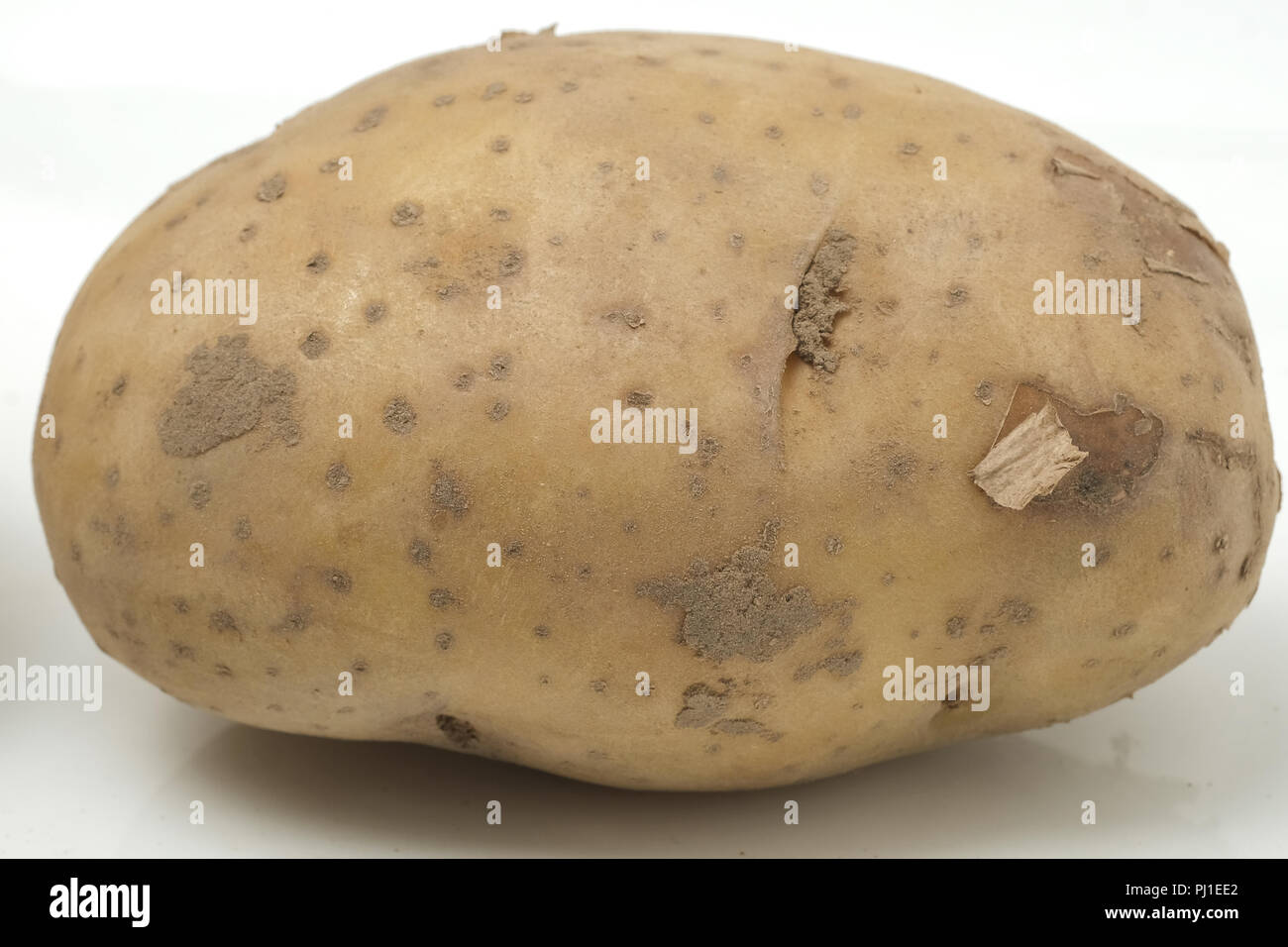 fresh potato white background Stock Photo - Alamy