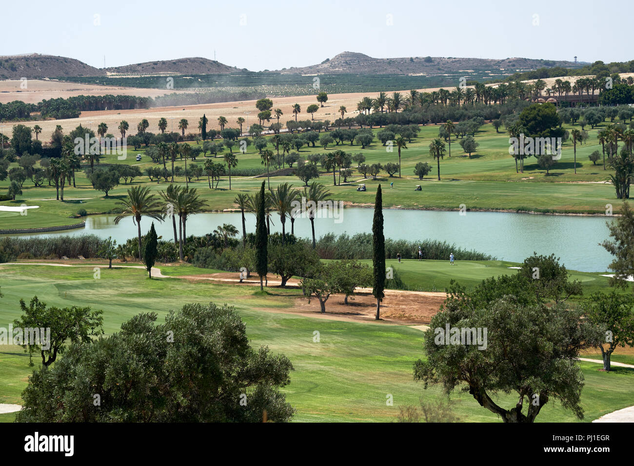 Typical spanish golf fields, meadows. Green lawns, palm trees and lake ...