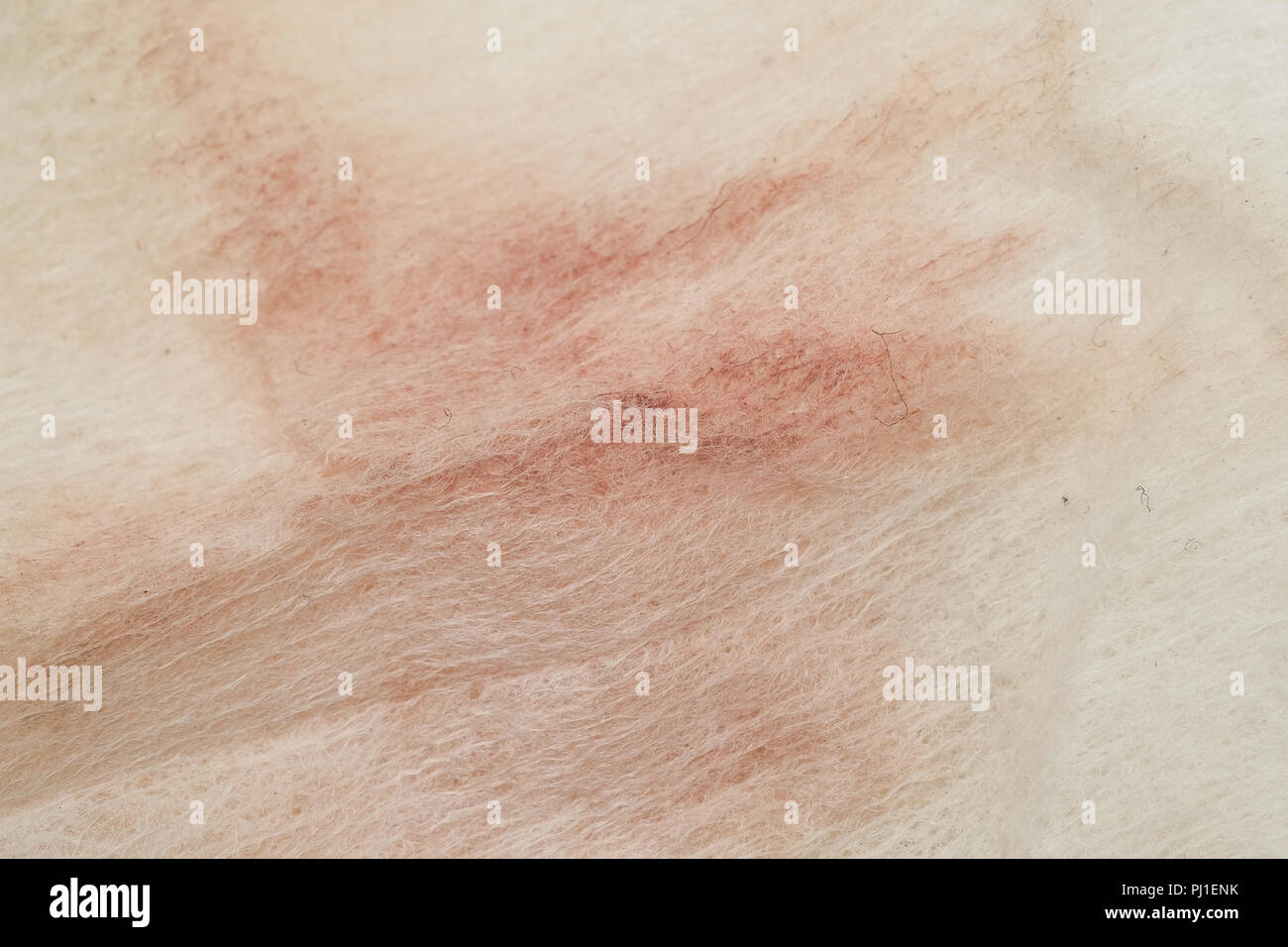 Blood stains on paper Stock Photo - Alamy