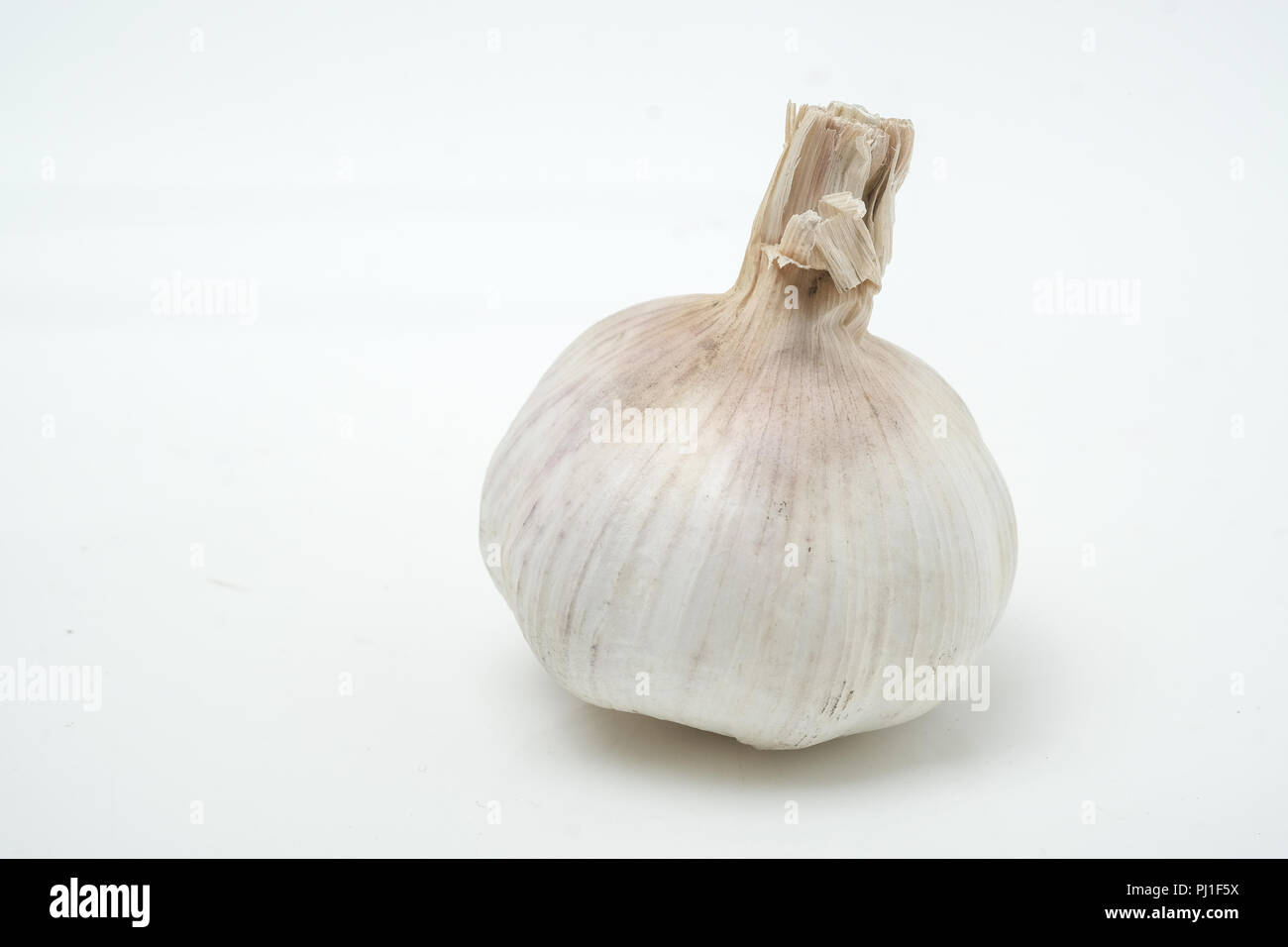 garlic on white background Stock Photo - Alamy