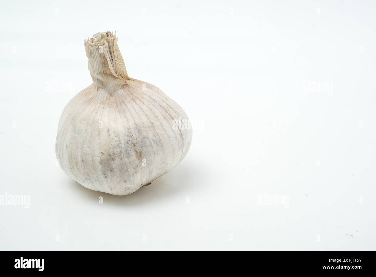 garlic on white background Stock Photo - Alamy