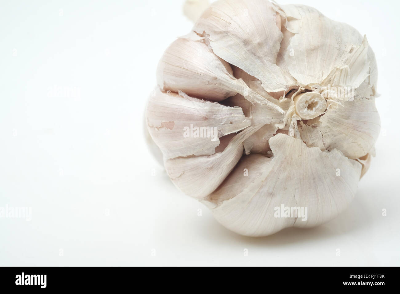 garlic on white background Stock Photo - Alamy
