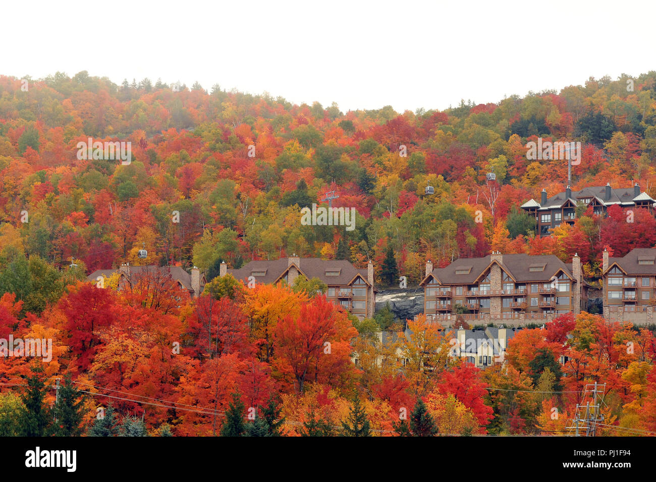 Laurentians hi-res stock photography and images - Alamy