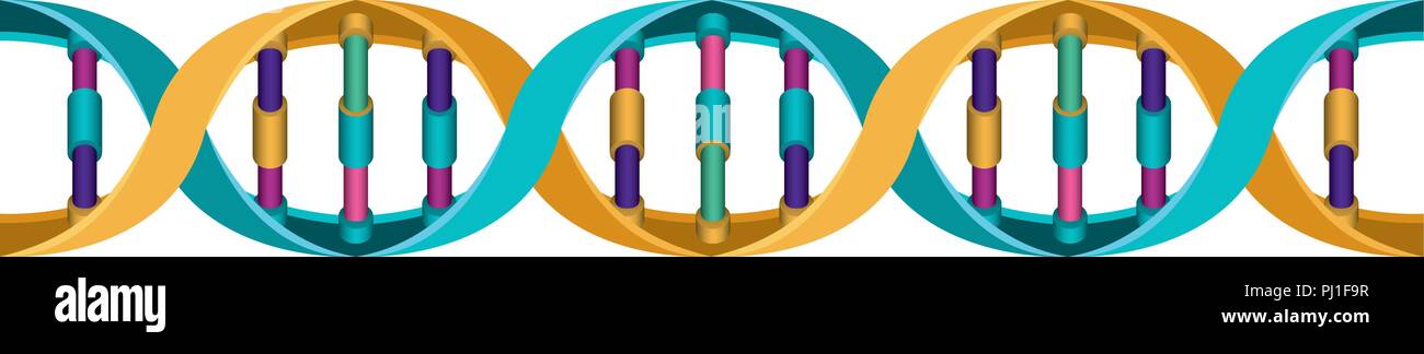 horizontal dna chain science colorful icon Stock Vector Image & Art - Alamy