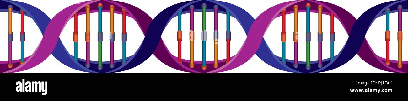 horizontal dna chain science colorful icon Stock Vector Image & Art - Alamy