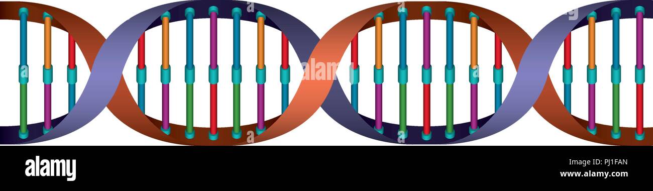 Dna with colors Stock Vector Images - Alamy