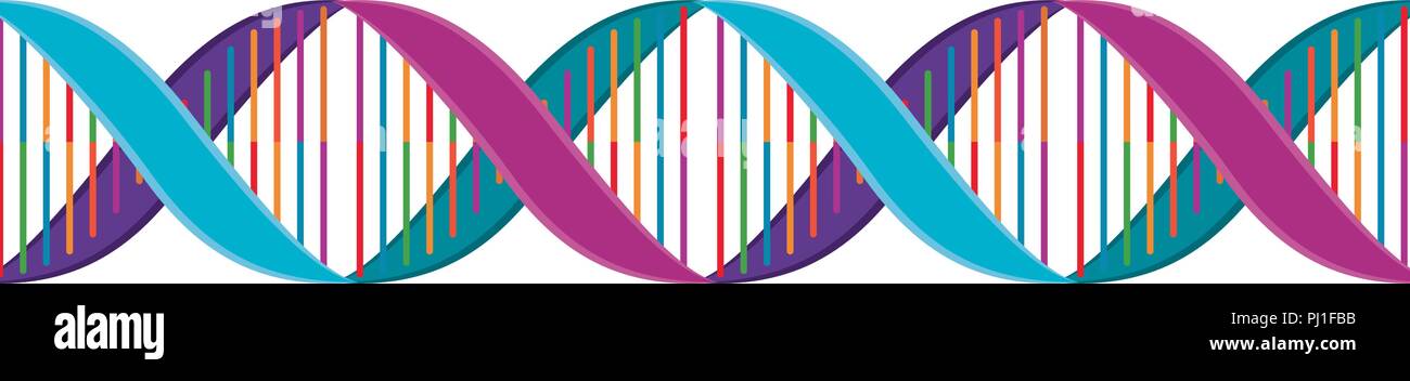 horizontal dna chain science colorful icon Stock Vector Image & Art - Alamy