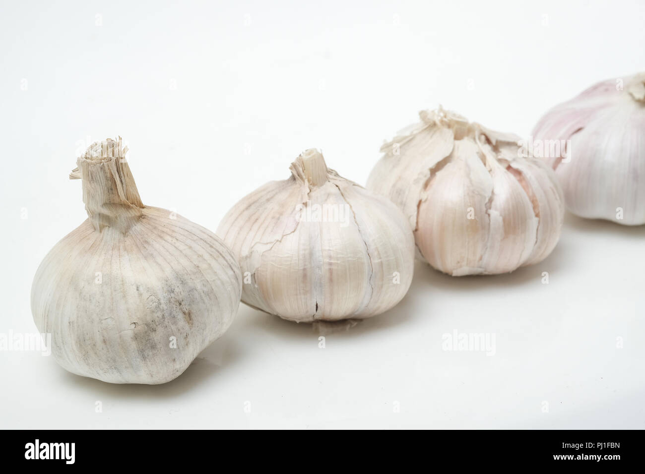 garlic on white background Stock Photo - Alamy