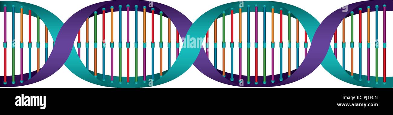 horizontal dna chain science colorful icon Stock Vector Image & Art - Alamy