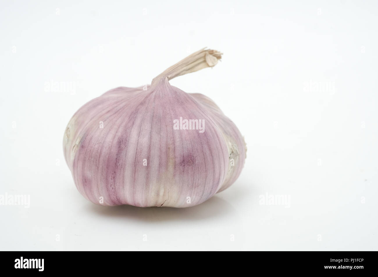 garlic on white background Stock Photo - Alamy
